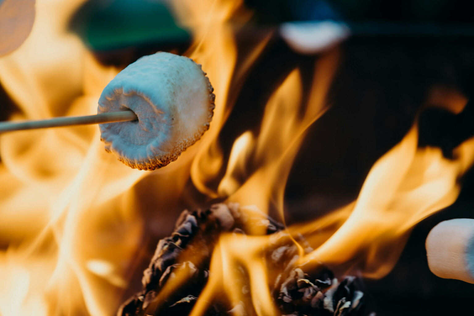 National S'mores Day - National Food Days
